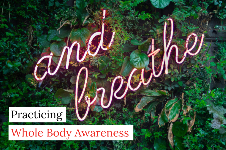 Practicing Whole Body Awareness - Lola Wright